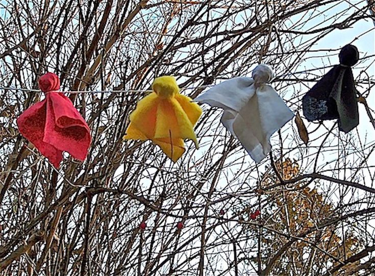 Chi Miigwetch: The Replicating Super Power – Bird Clan Messenger spot com