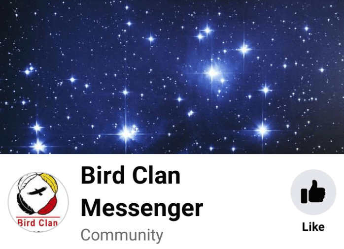 2022 – Year of the Snake: Regeneration and Getting Out of Your Own Way ...