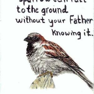 TwigDraggin Champs of the world – Bird Clan Messenger dot Com