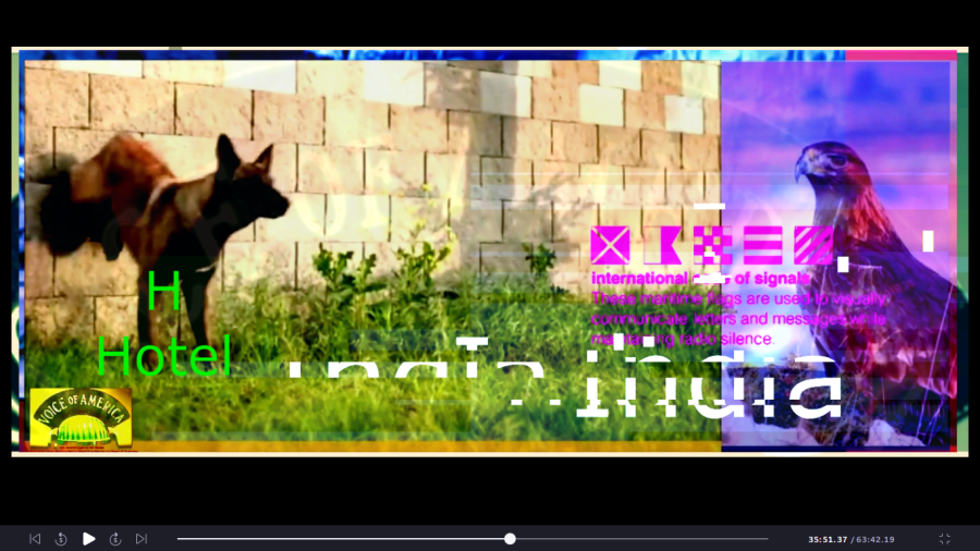 Bird Clan Messenger – TRUTH – PROPHECY – TRADITION